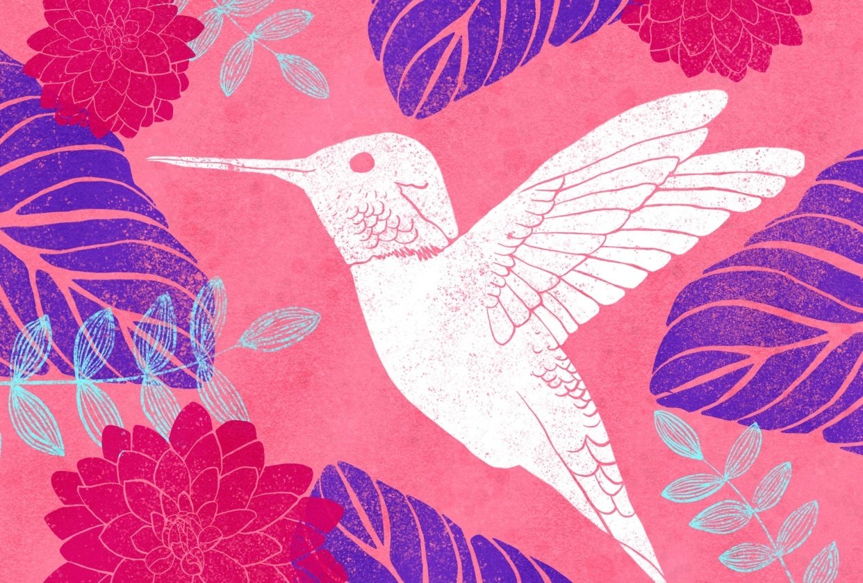 Hummingbird | Skillshare Student Project