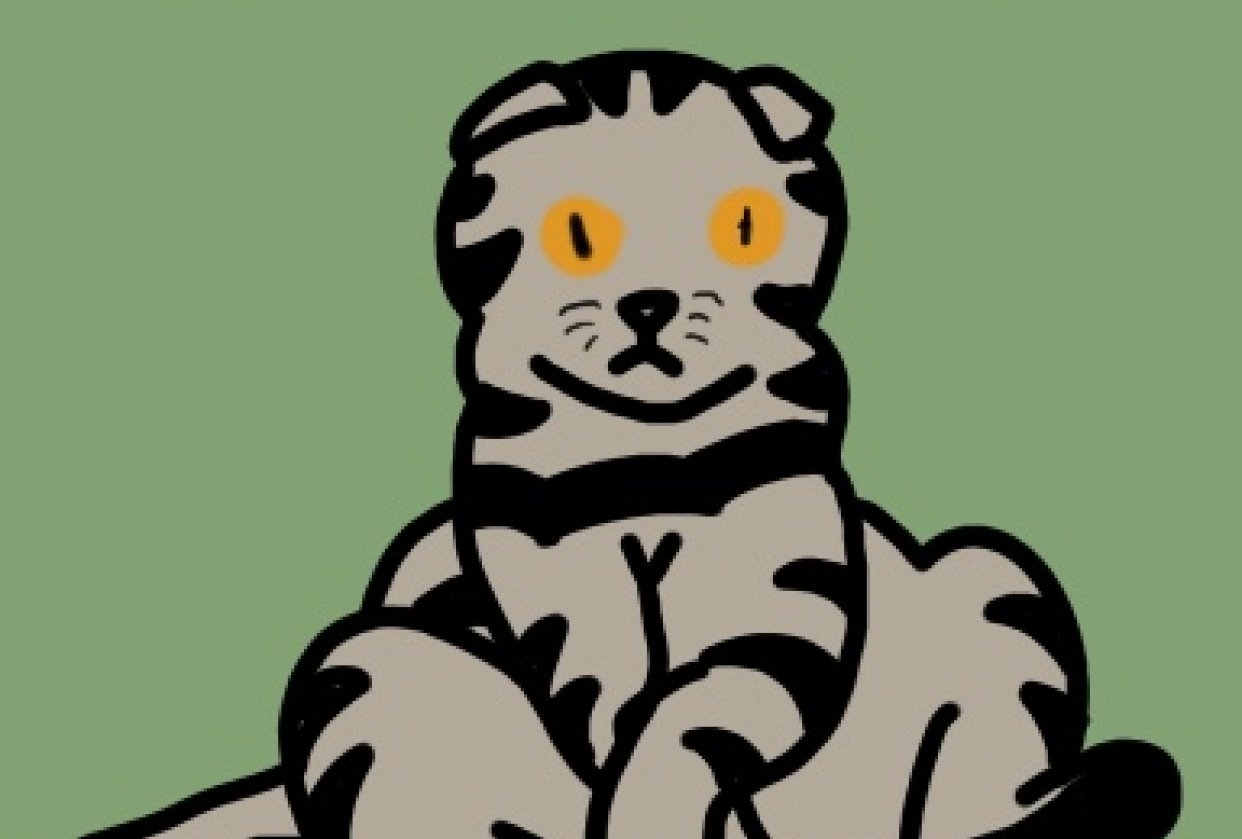 Cat Project | Skillshare Student Project