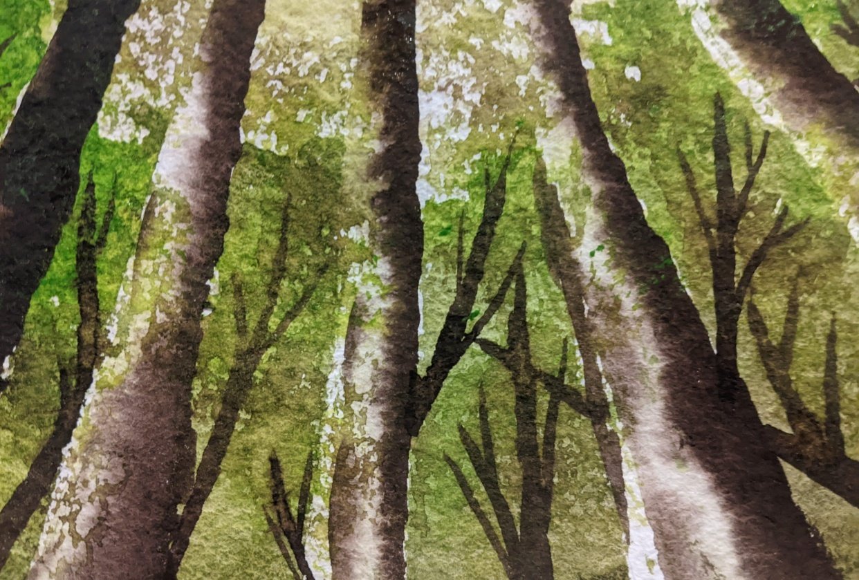 Seasonal trees | Skillshare Student Project