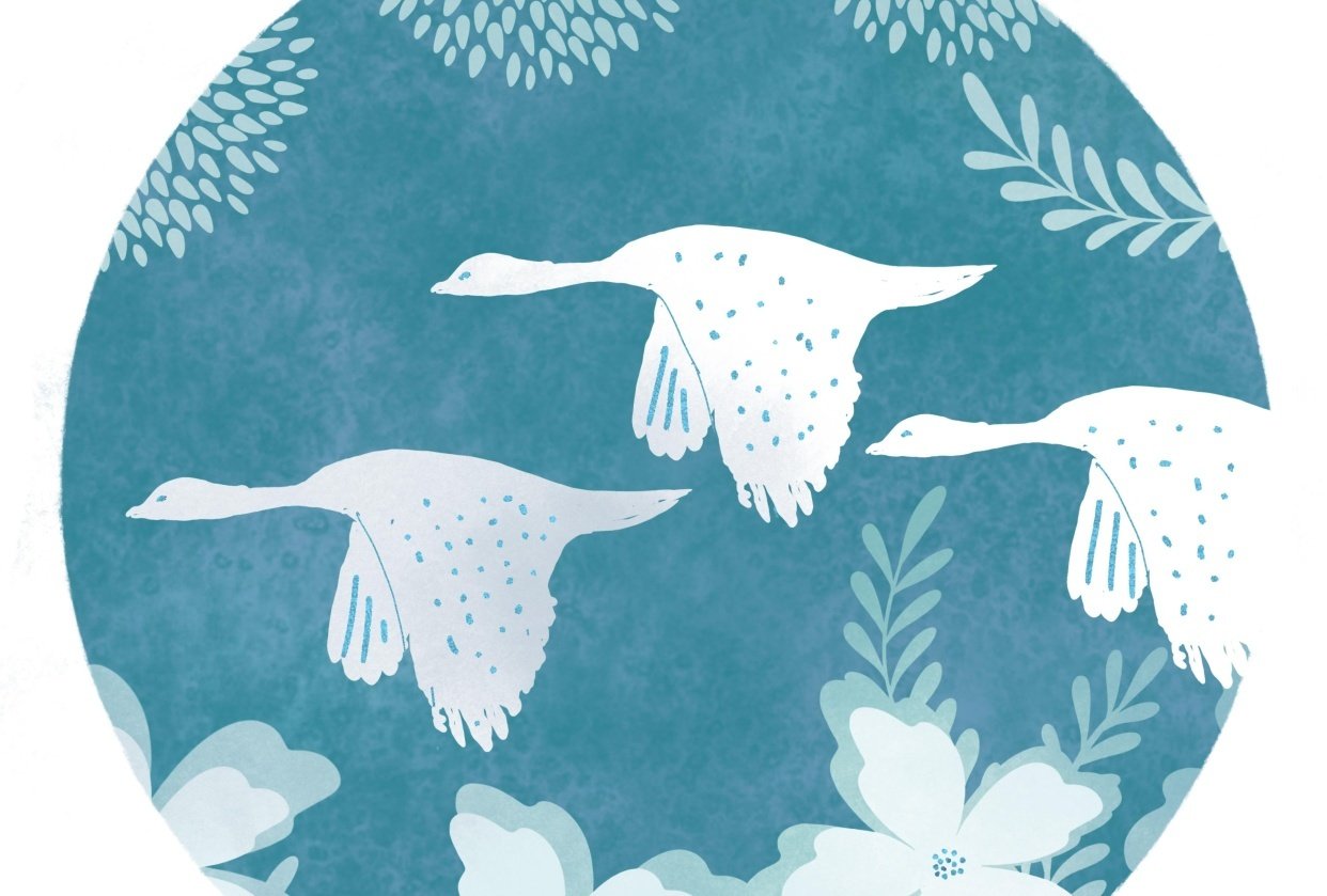 Geese | Skillshare Student Project