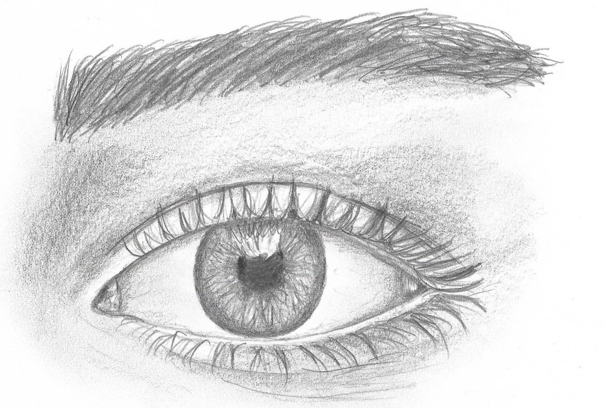 Sample Project of Eye Drawing | Skillshare Student Project