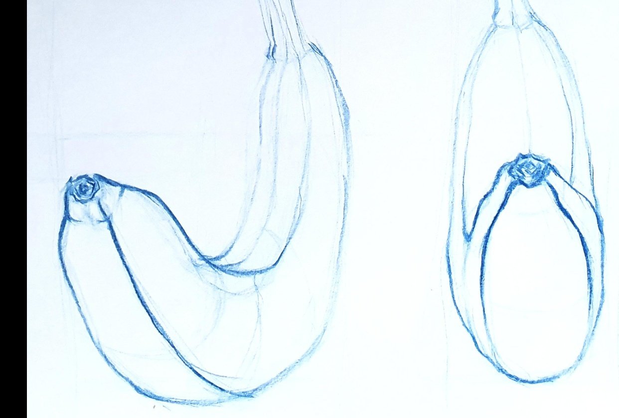 Contour Drawings | Skillshare Student Project