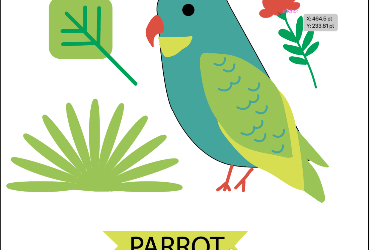 parrot practice | Skillshare Student Project