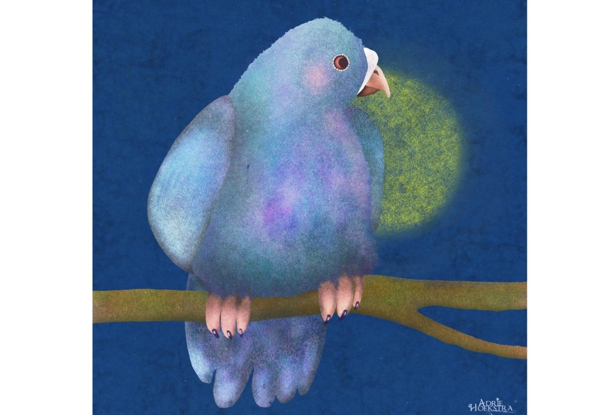 Lots of fun with textures | Skillshare Student Project