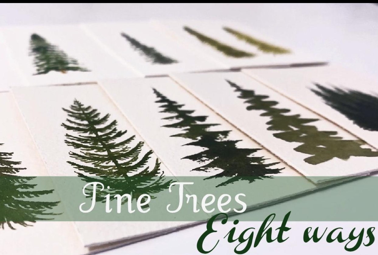 8 Techniques for Painting Watercolor Pine Trees | Skillshare Student Project