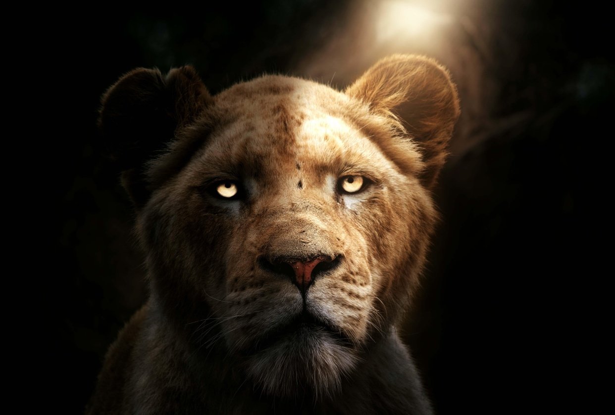 Dynamic Lighting Photoshop | Skillshare Student Project