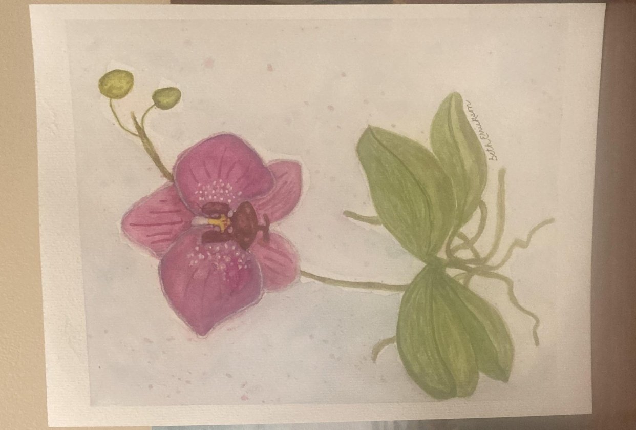 Orchid | Skillshare Student Project