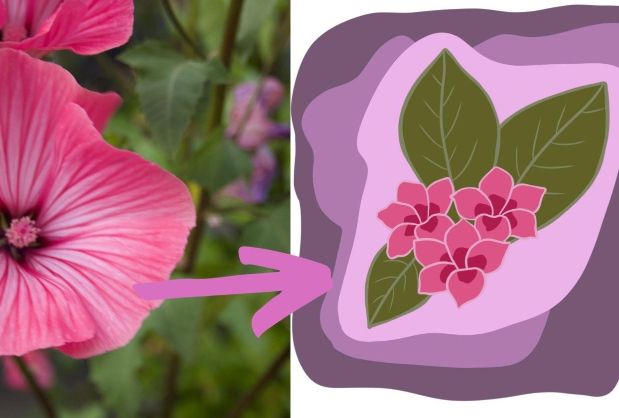 Color Palette From An Image Skillshare Student Project