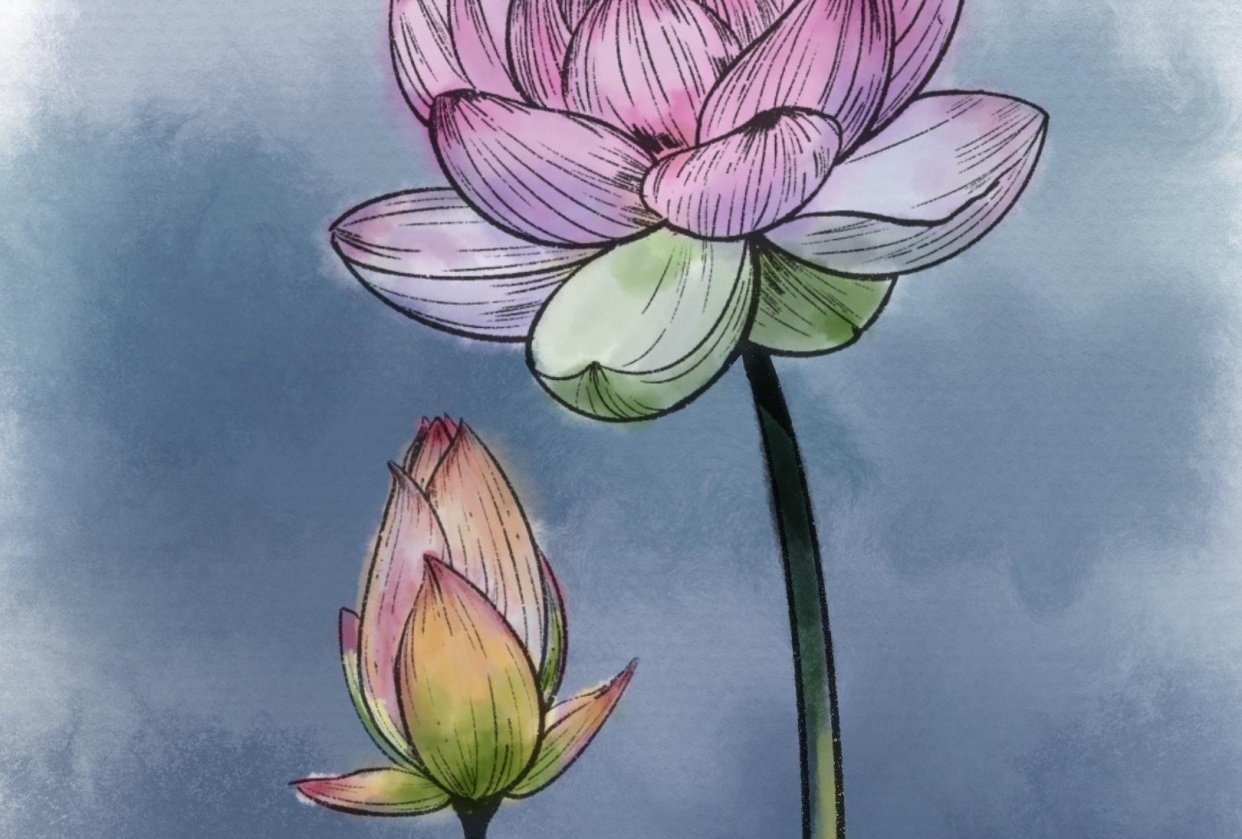 Lotus | Skillshare Student Project