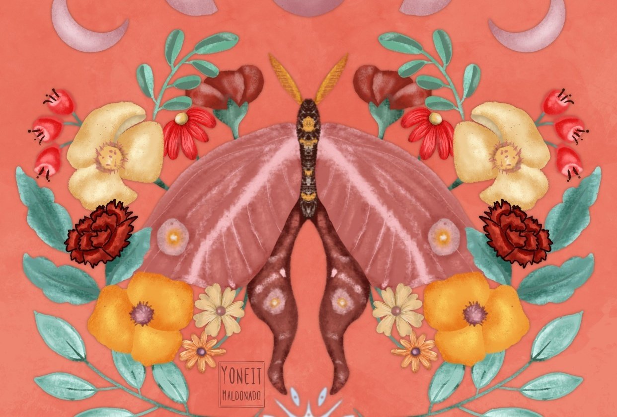 Magical moth | Skillshare Student Project