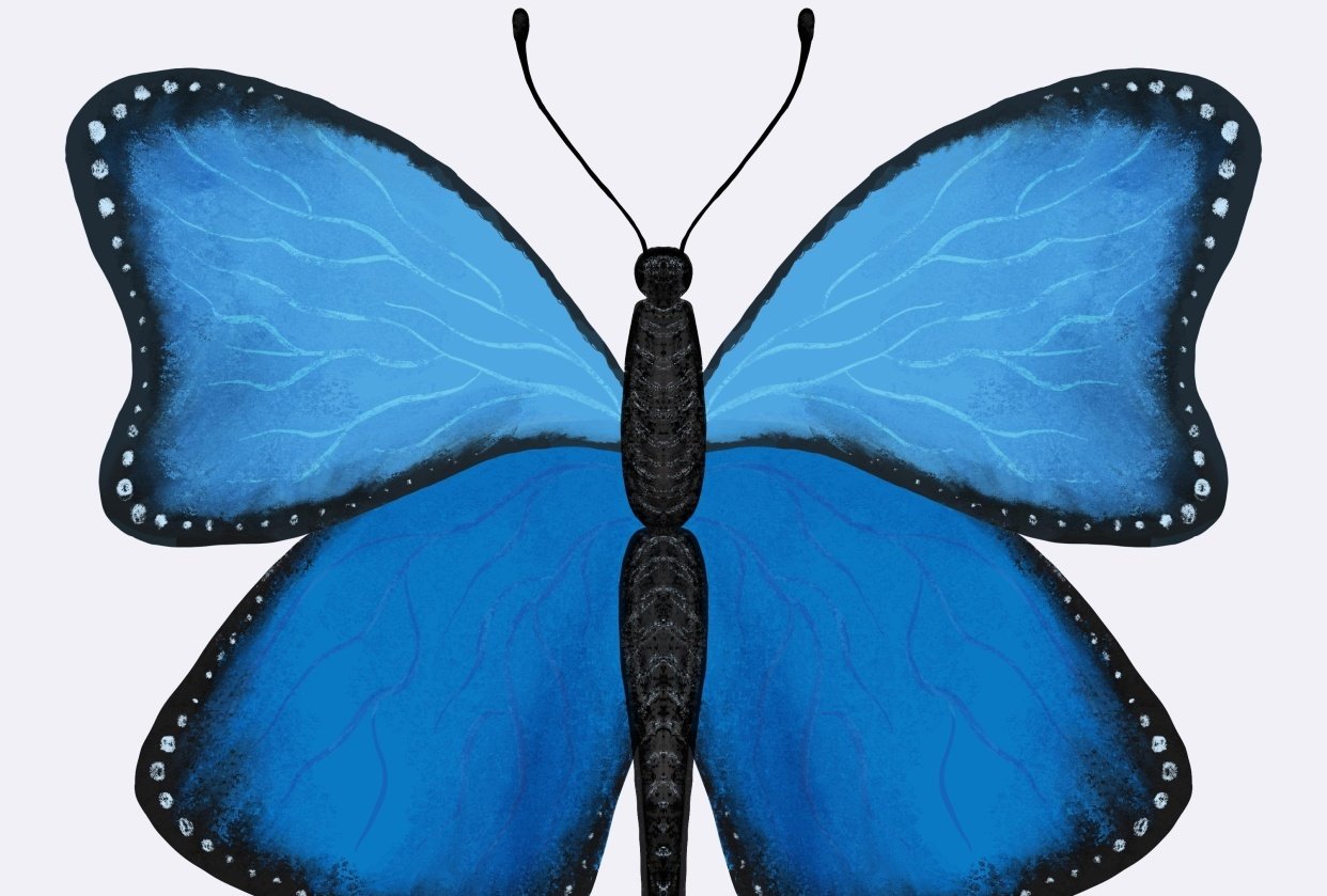 Symmetrical Butterfly | Skillshare Student Project