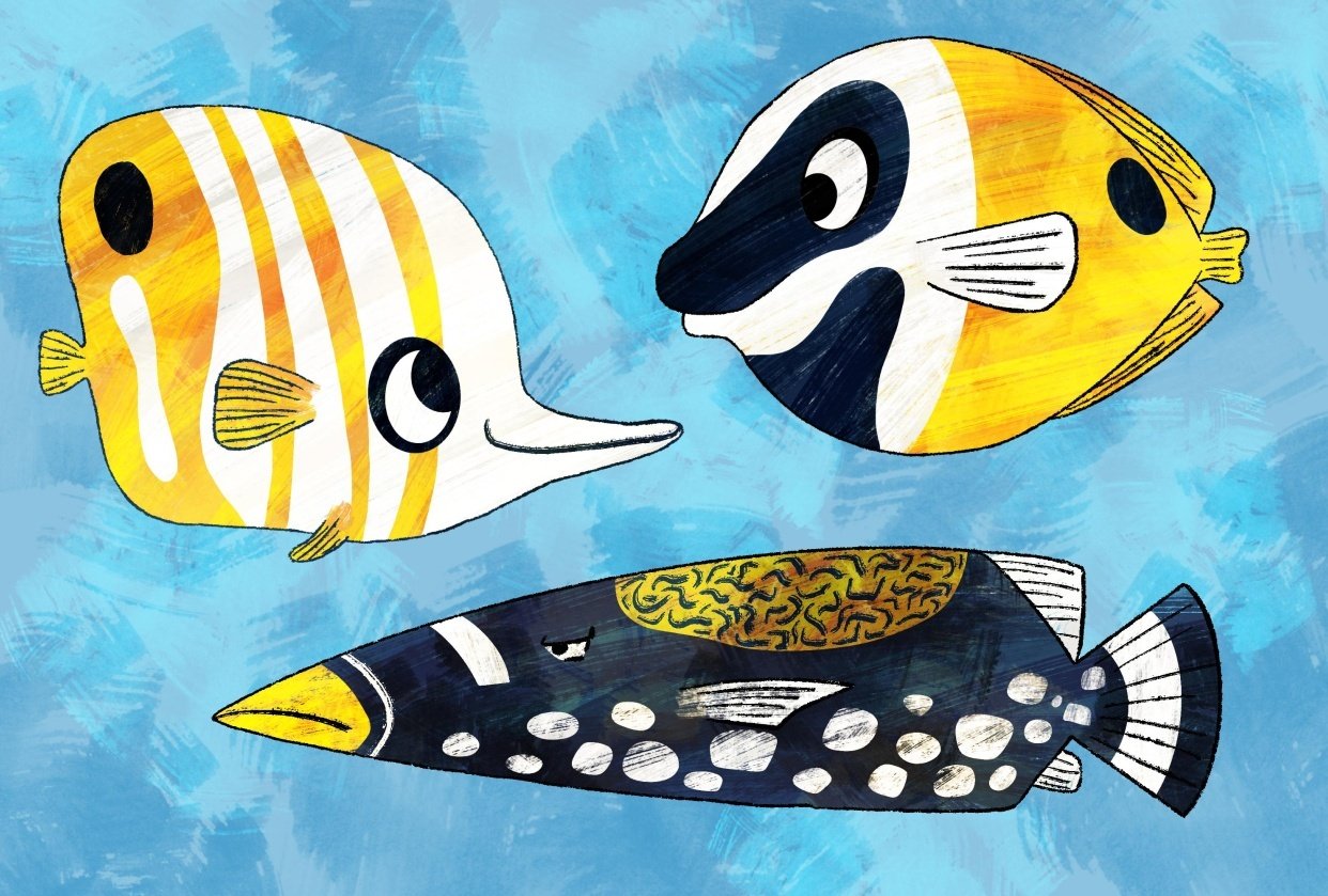 Fish Designs | Skillshare Student Project