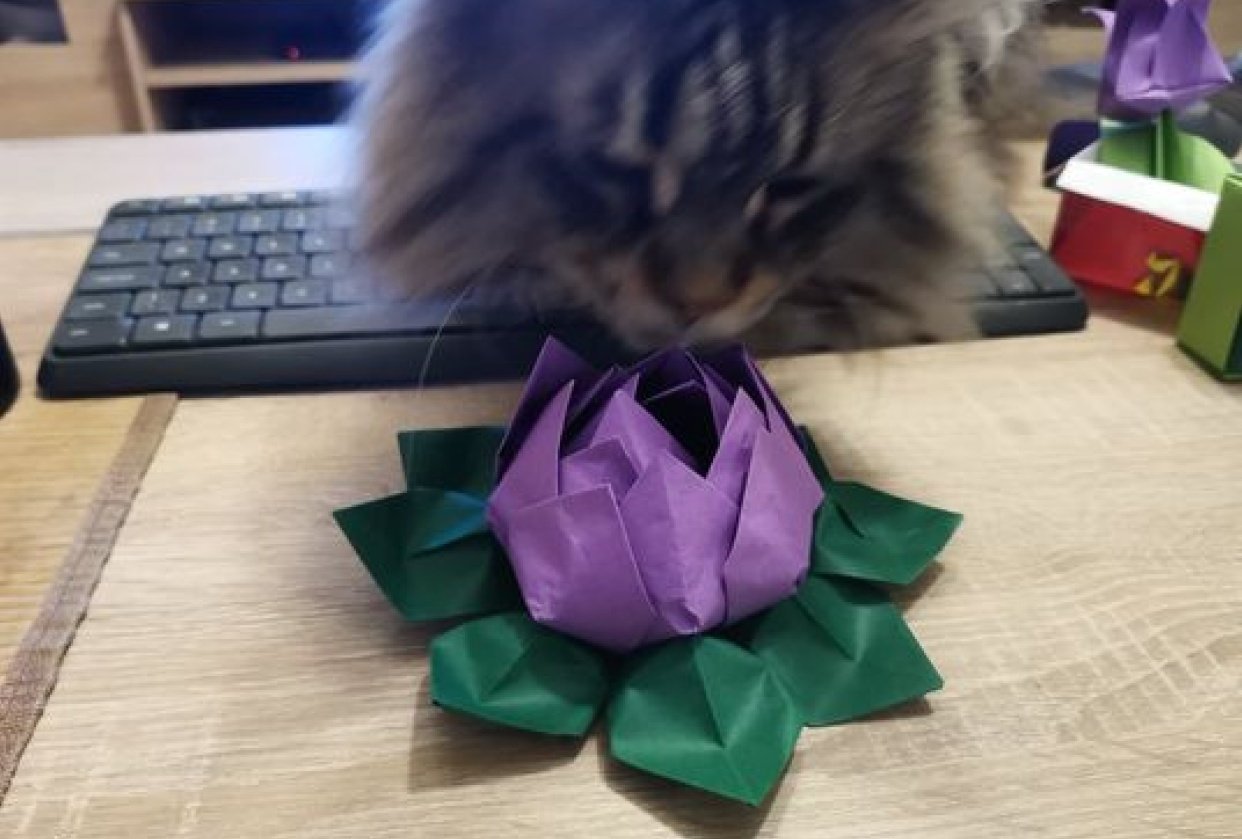 My very first Lotus | Skillshare Student Project