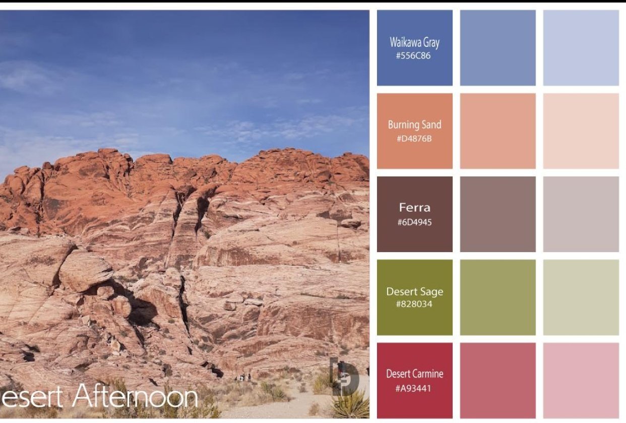 Color palette | Skillshare Student Project Color palette | Skillshare Student Project