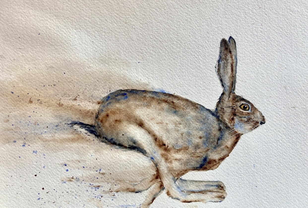 Galloping hare | Skillshare Student Project