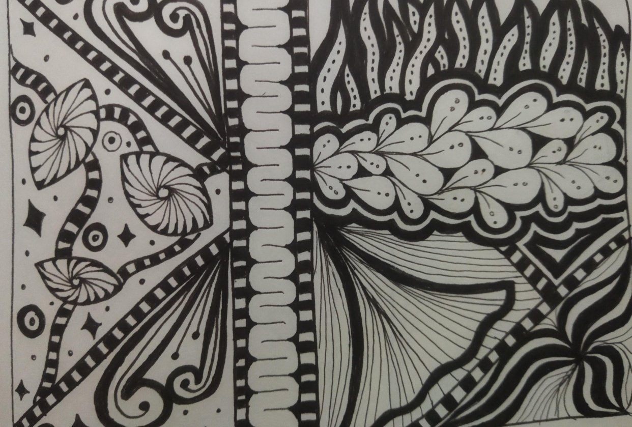 Final projects | Skillshare Student Project