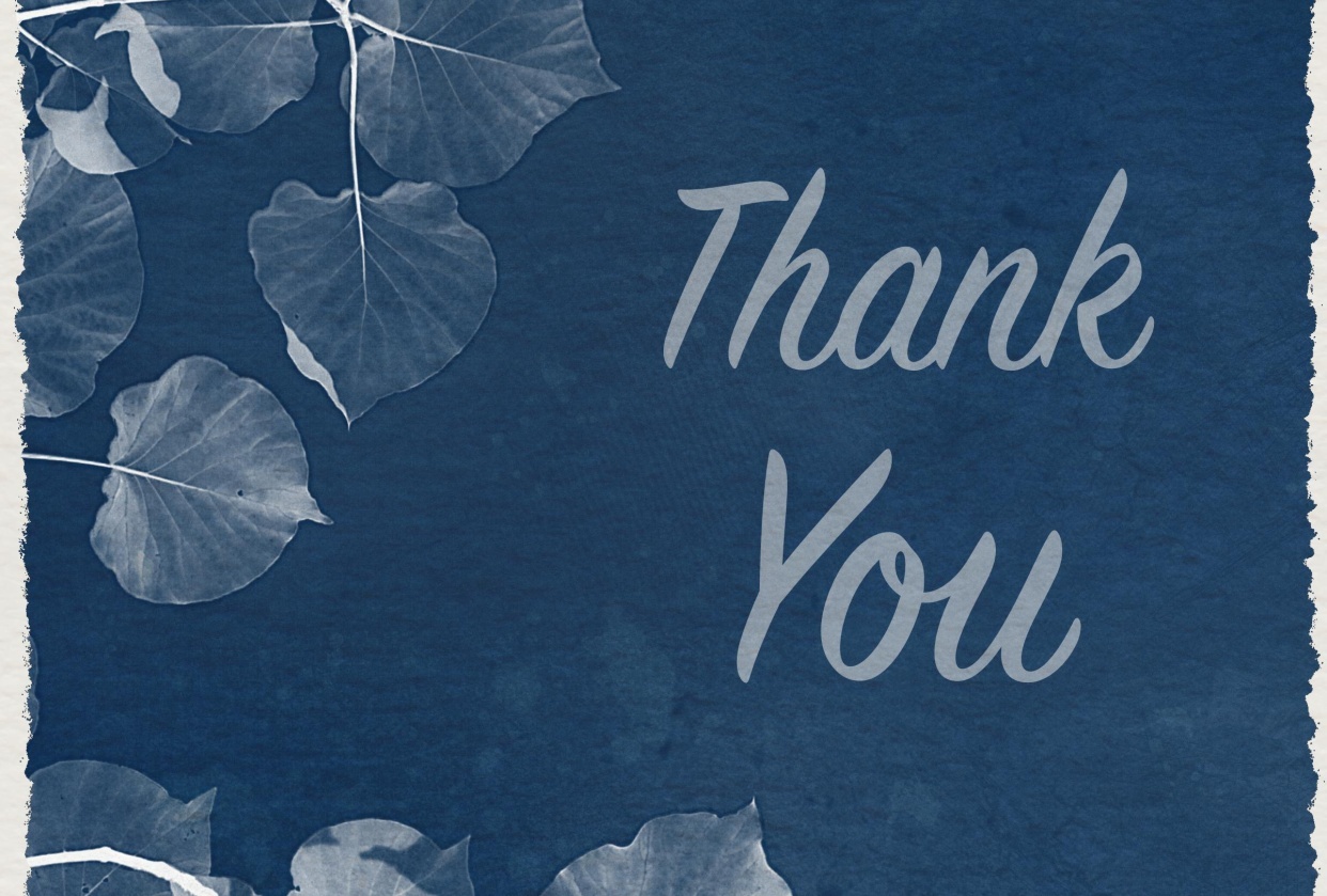 Digital Cyanotypes | Skillshare Student Project