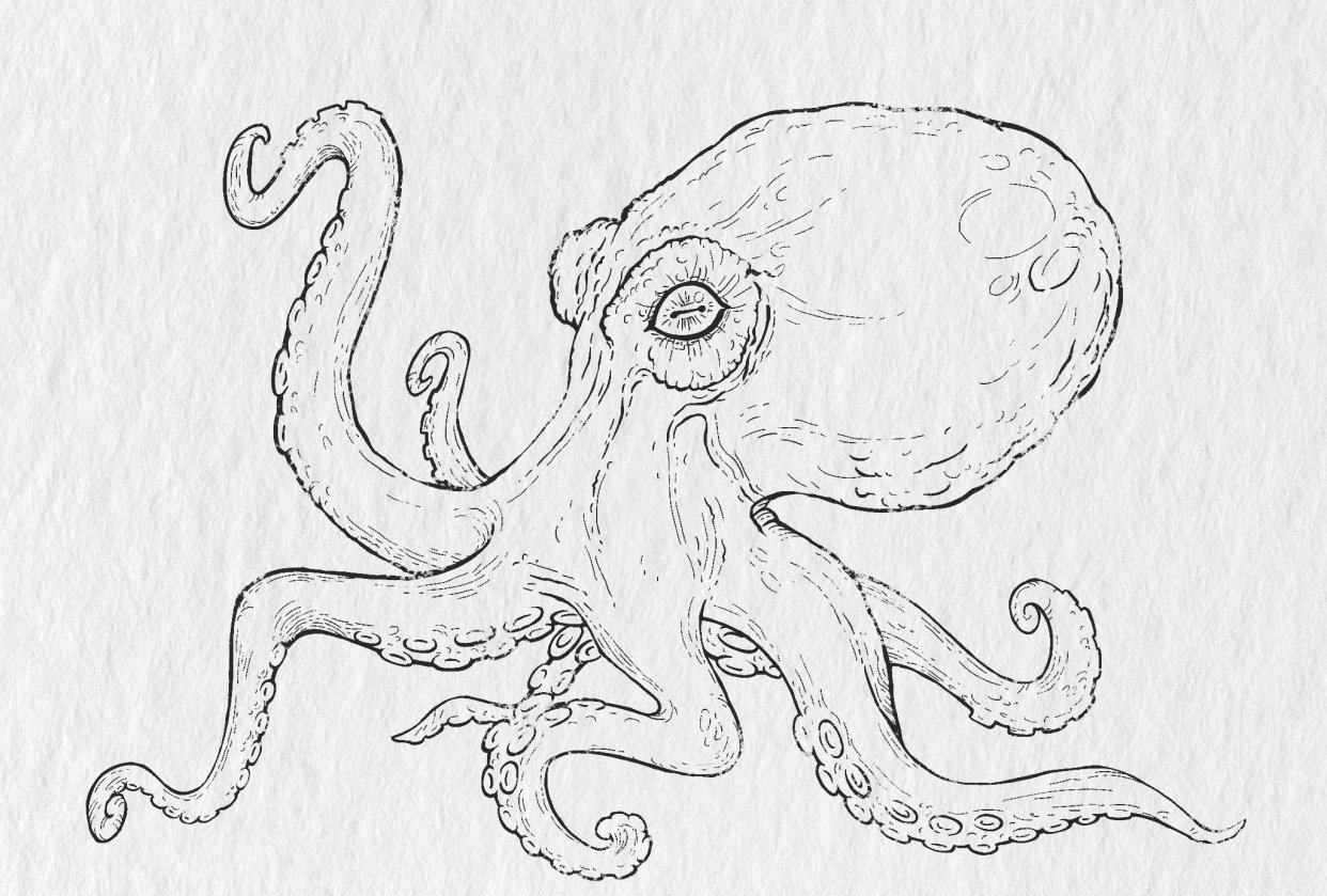 Line Art Master. Octopus | Skillshare Student Project