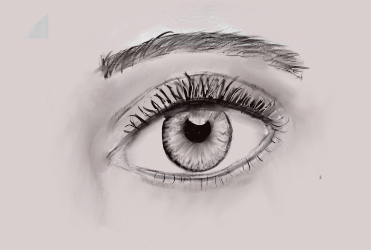 Eye using procreate | Skillshare Student Project