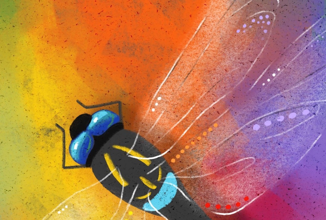 Pastel Dragonfly in Procreate | Skillshare Student Project