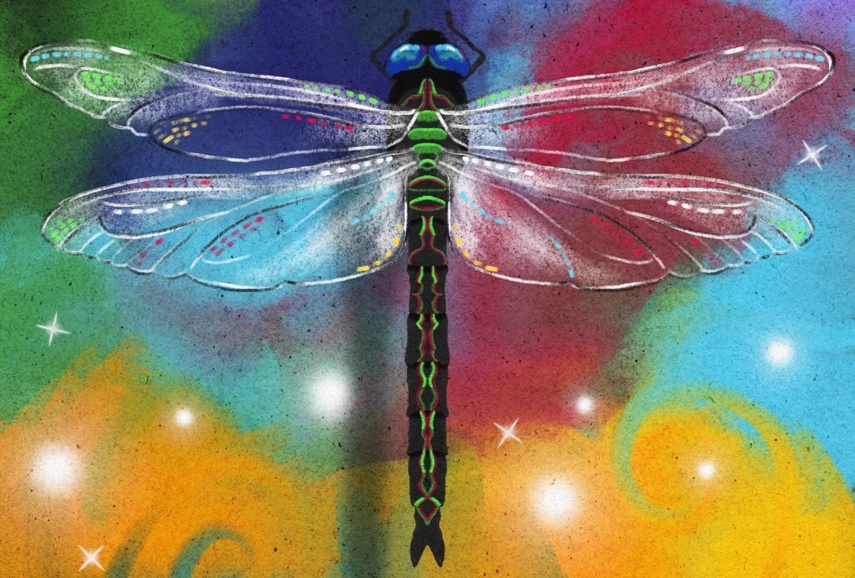 Pastel Dragonfly | Skillshare Student Project