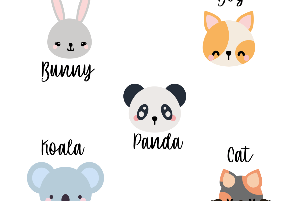 Animals | Skillshare Student Project