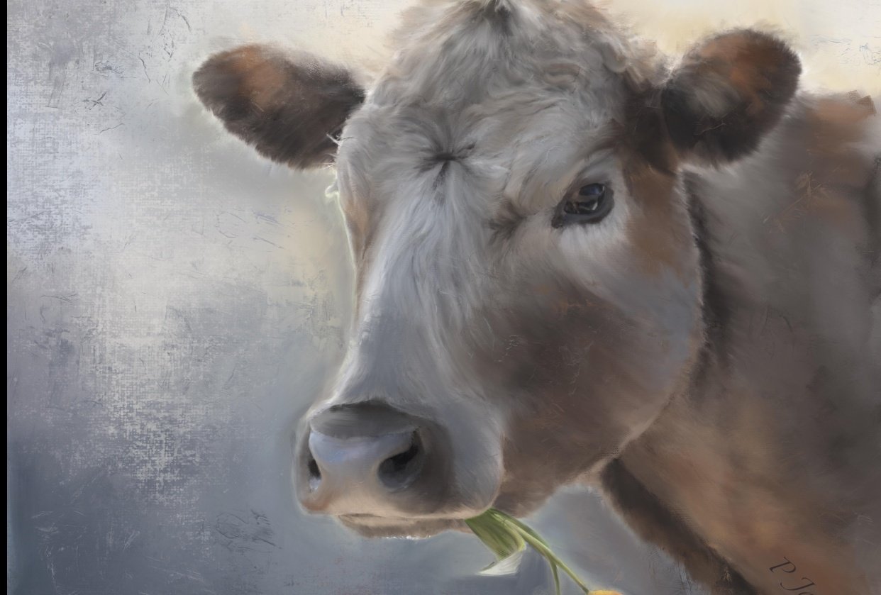 cow | Skillshare Student Project