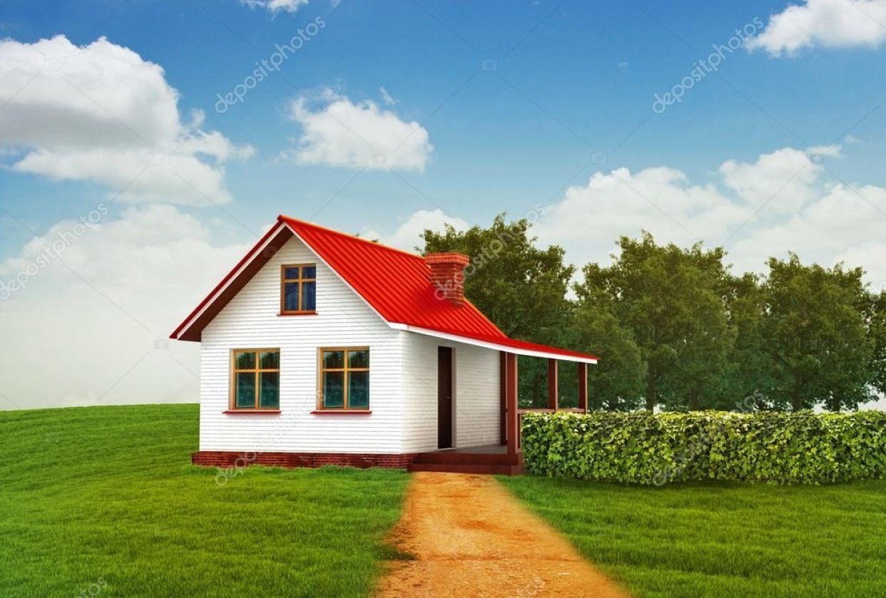 assignment | Skillshare Student Project