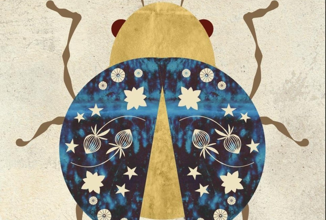 Wings of the night sky | Skillshare Student Project