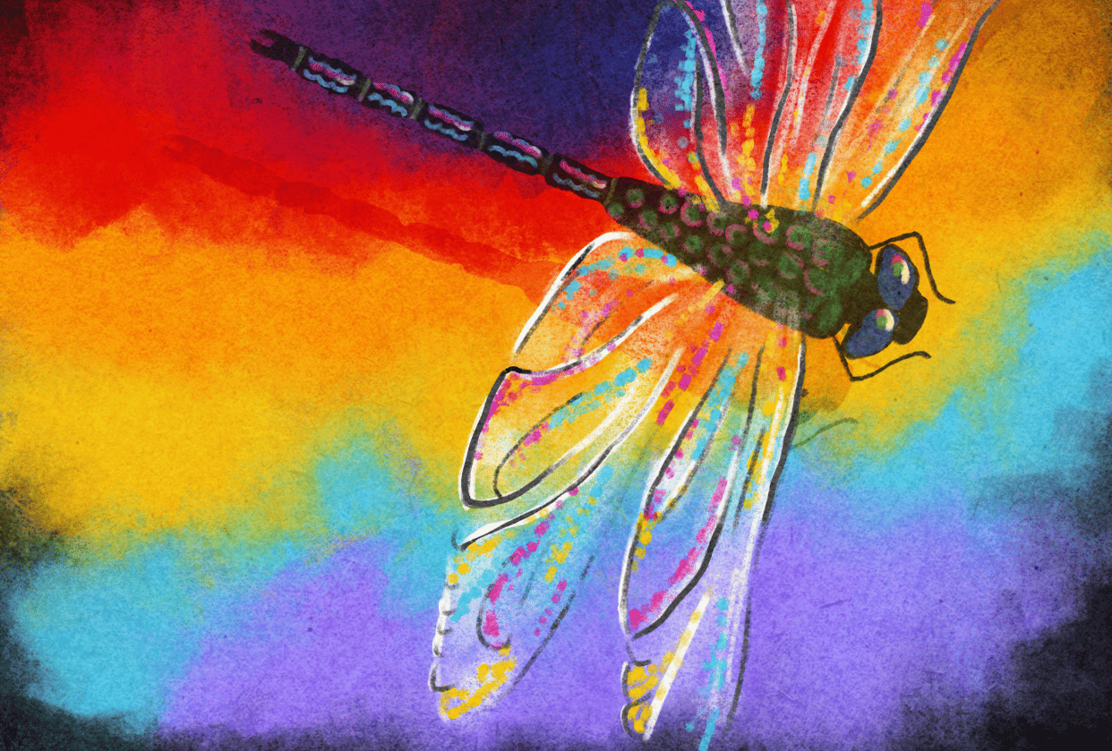 Dragonfly | Skillshare Student Project