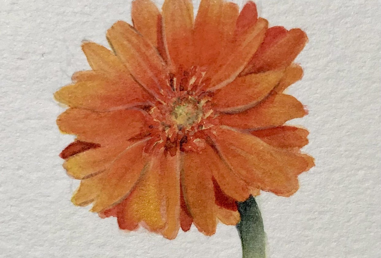 Watercolor Flower | Skillshare Student Project