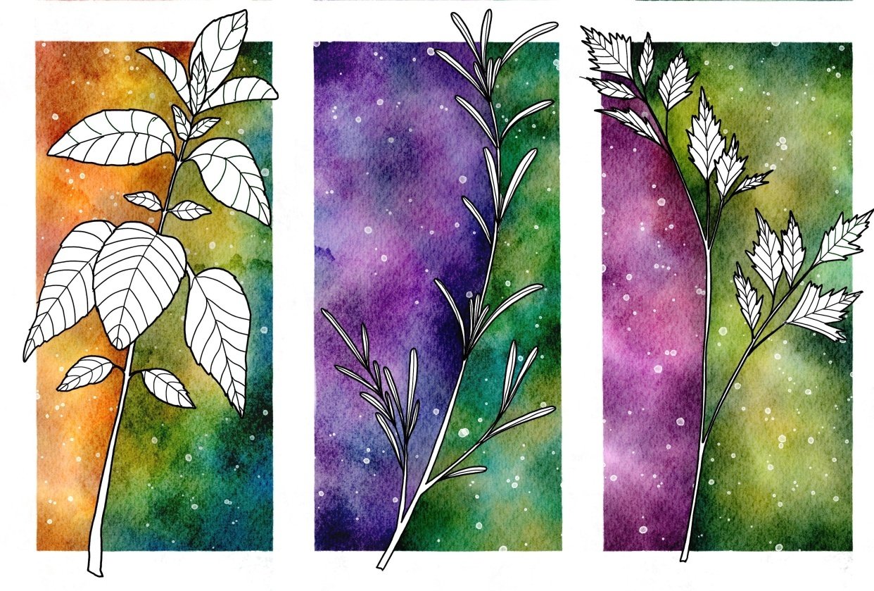 Negative Spaces | Skillshare Student Project