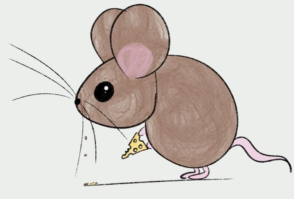 Mouse | Skillshare Student Project