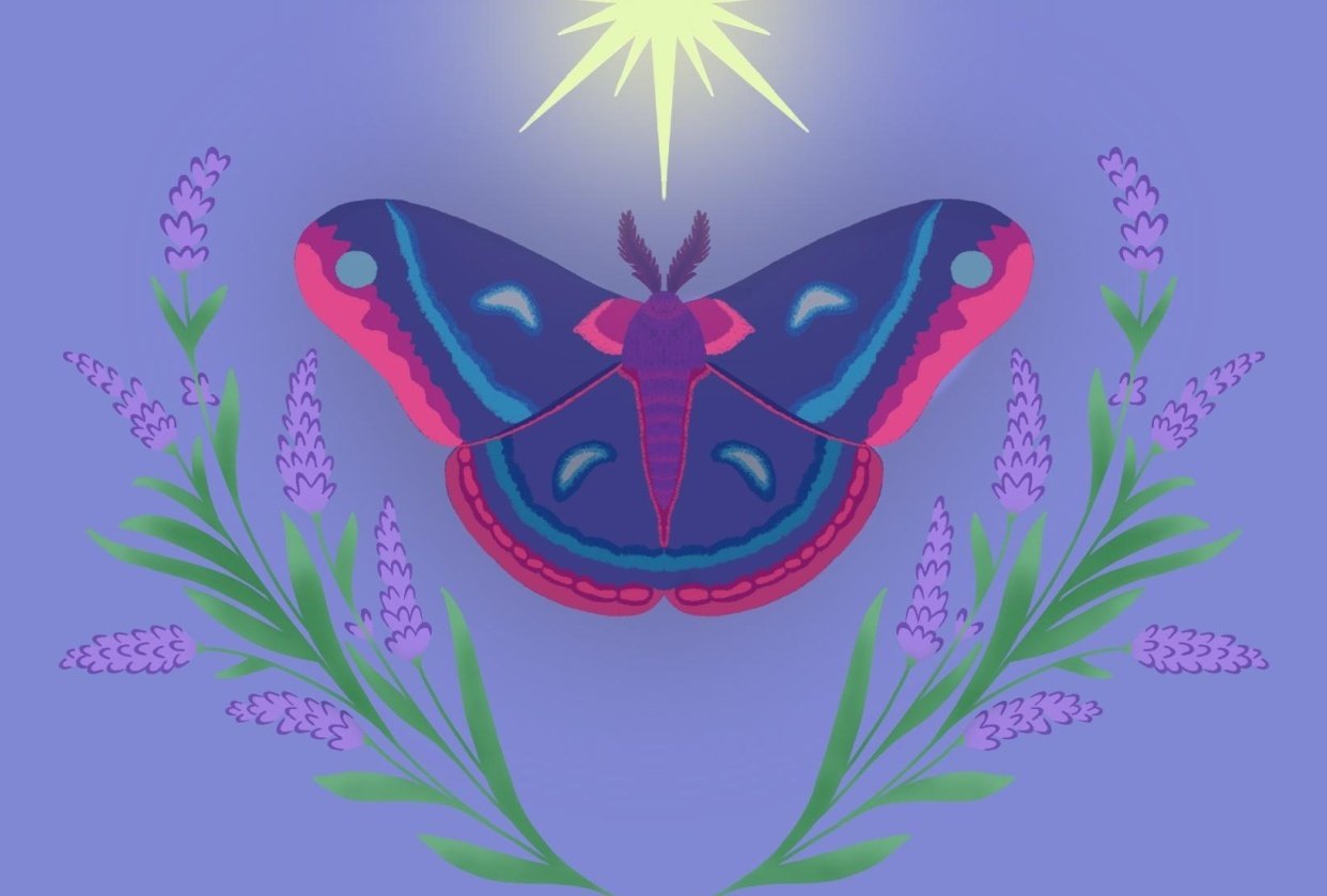 Magical Moth’s | Skillshare Student Project