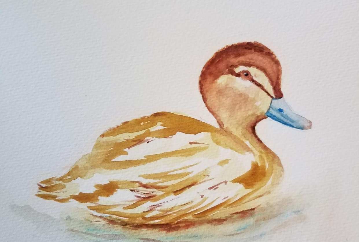 Baby duck | Skillshare Student Project