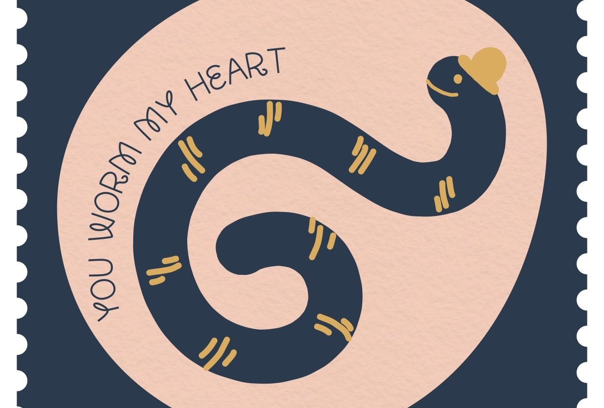 First step into illustrator | Skillshare Student Project