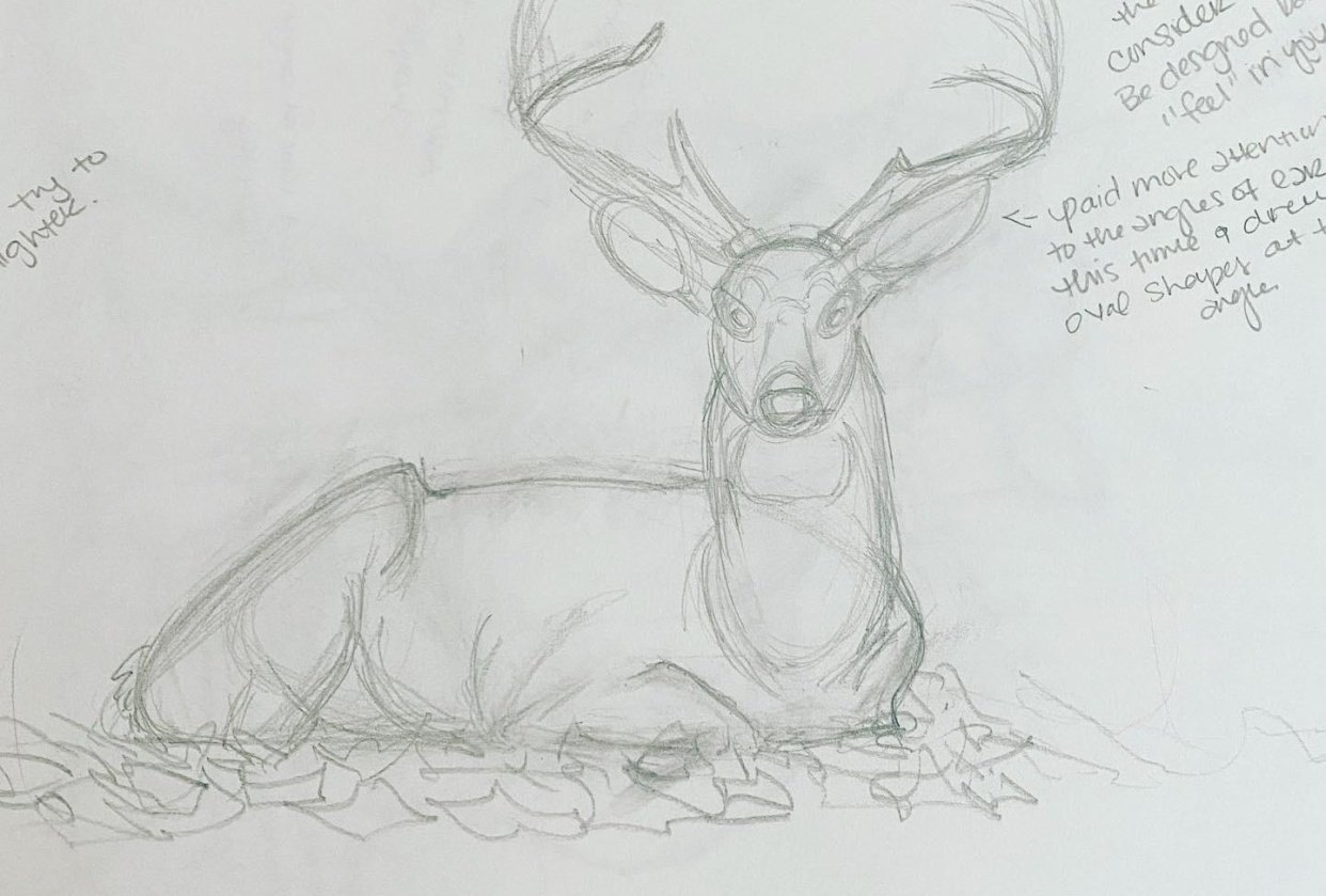 Deer Study | Skillshare Student Project