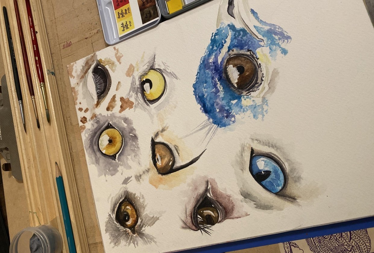 Animal eye study | Skillshare Student Project