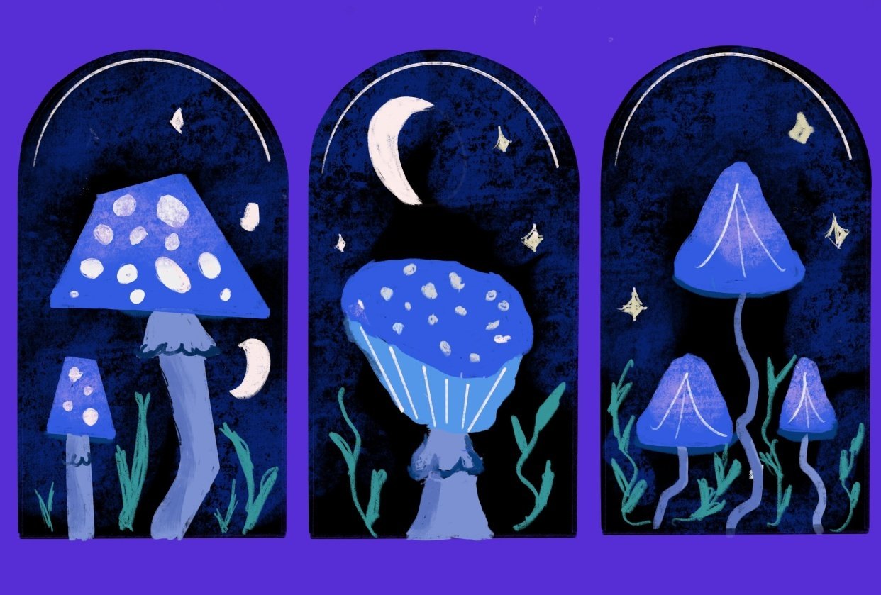 2nd project | Skillshare Student Project