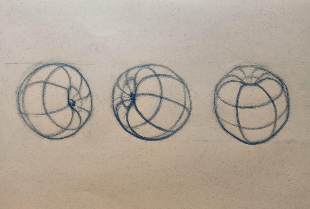 Drawing with Compelling Contours & Forshortening | Skillshare Student ...