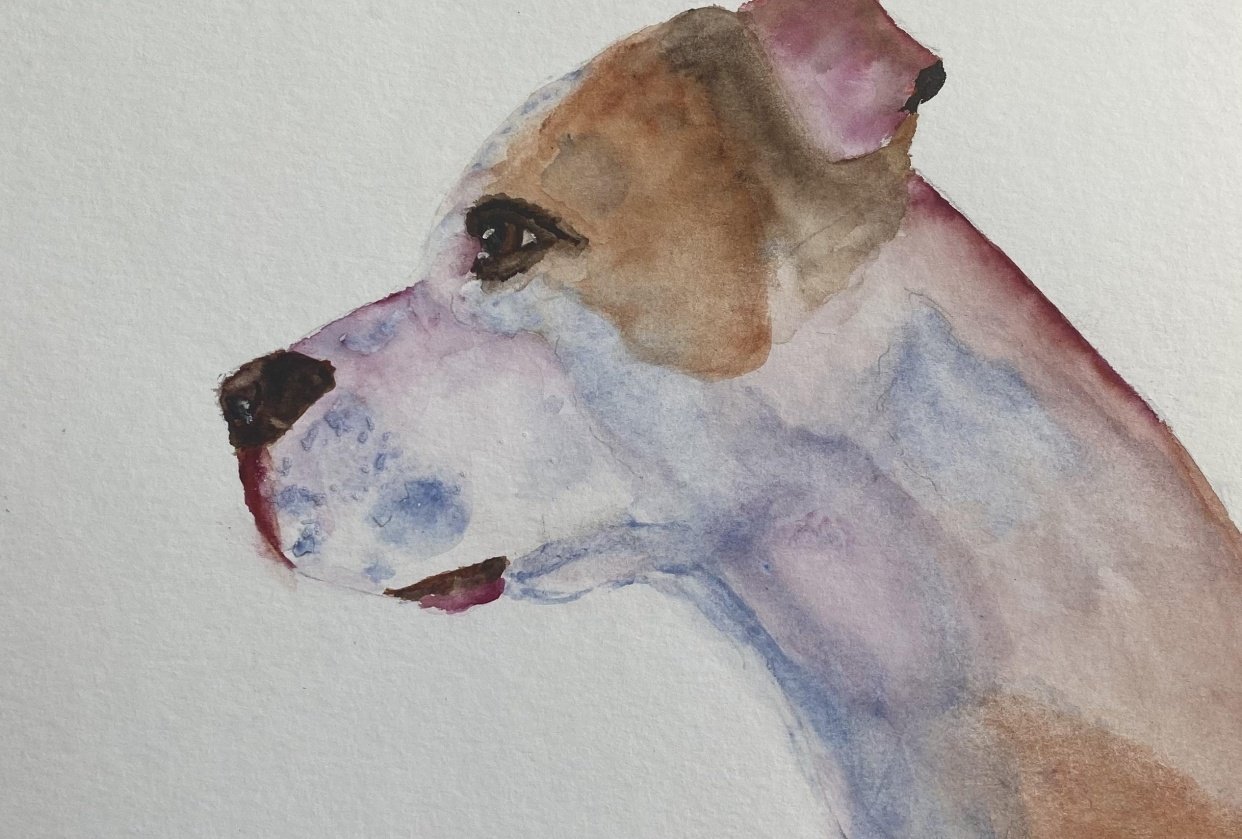 My pup portraits | Skillshare Student Project