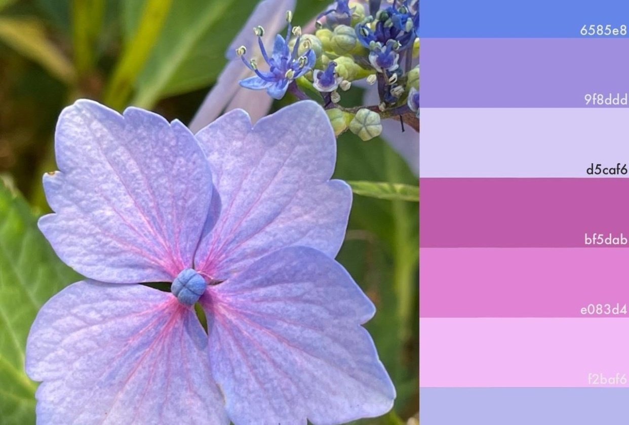 Color Study | Skillshare Student Project