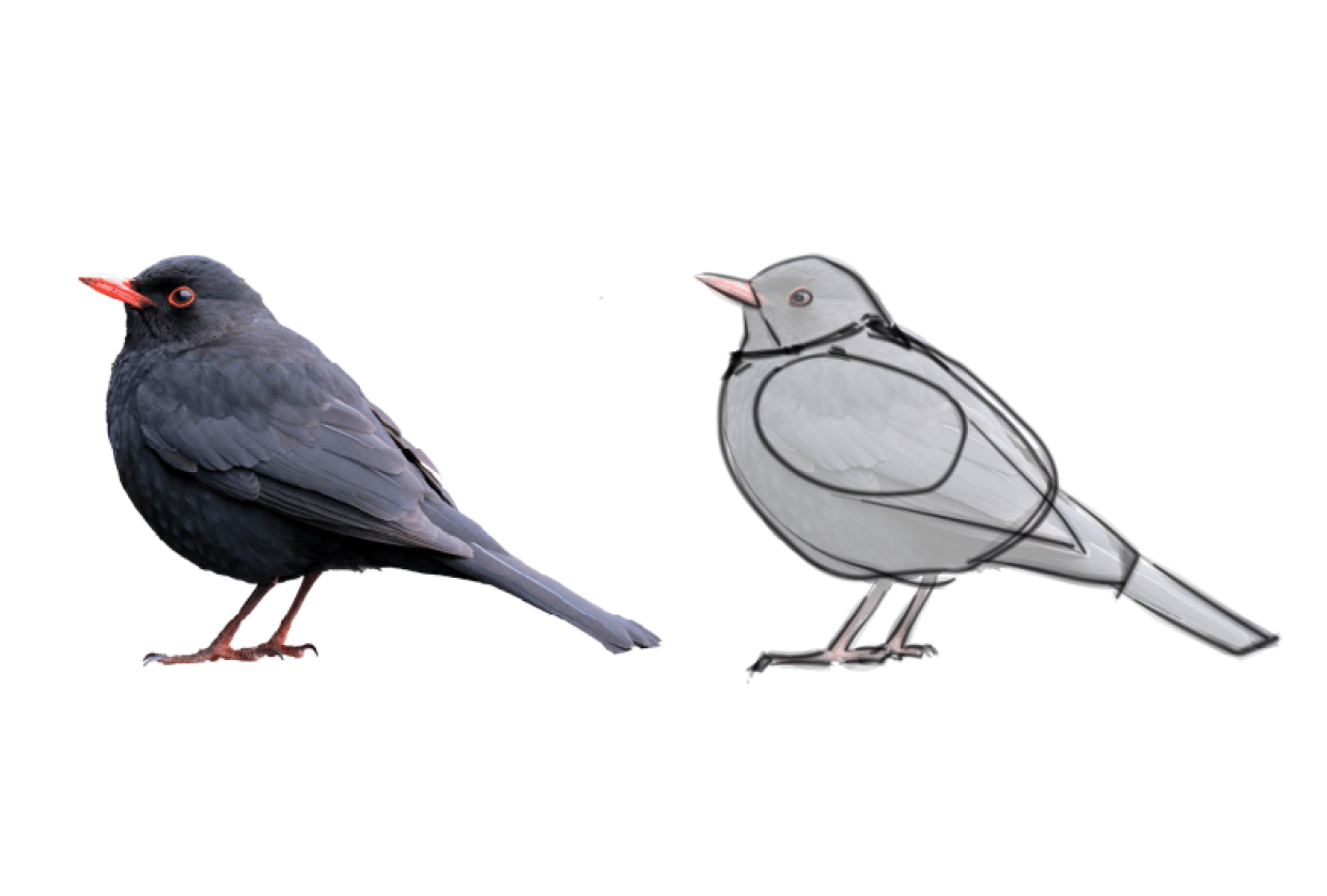 Breaking things down into shapes | Skillshare Student Project