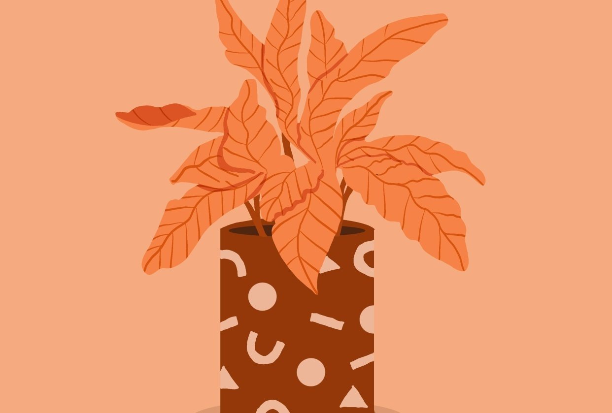 Monochromatic Orange | Skillshare Student Project