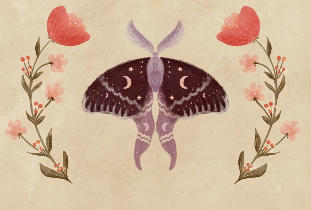 Magical Moth | Skillshare Student Project