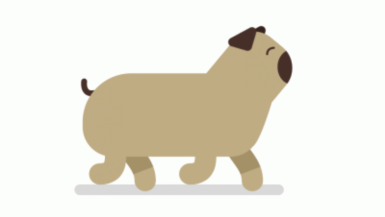 Animated Pug | Skillshare Student Project