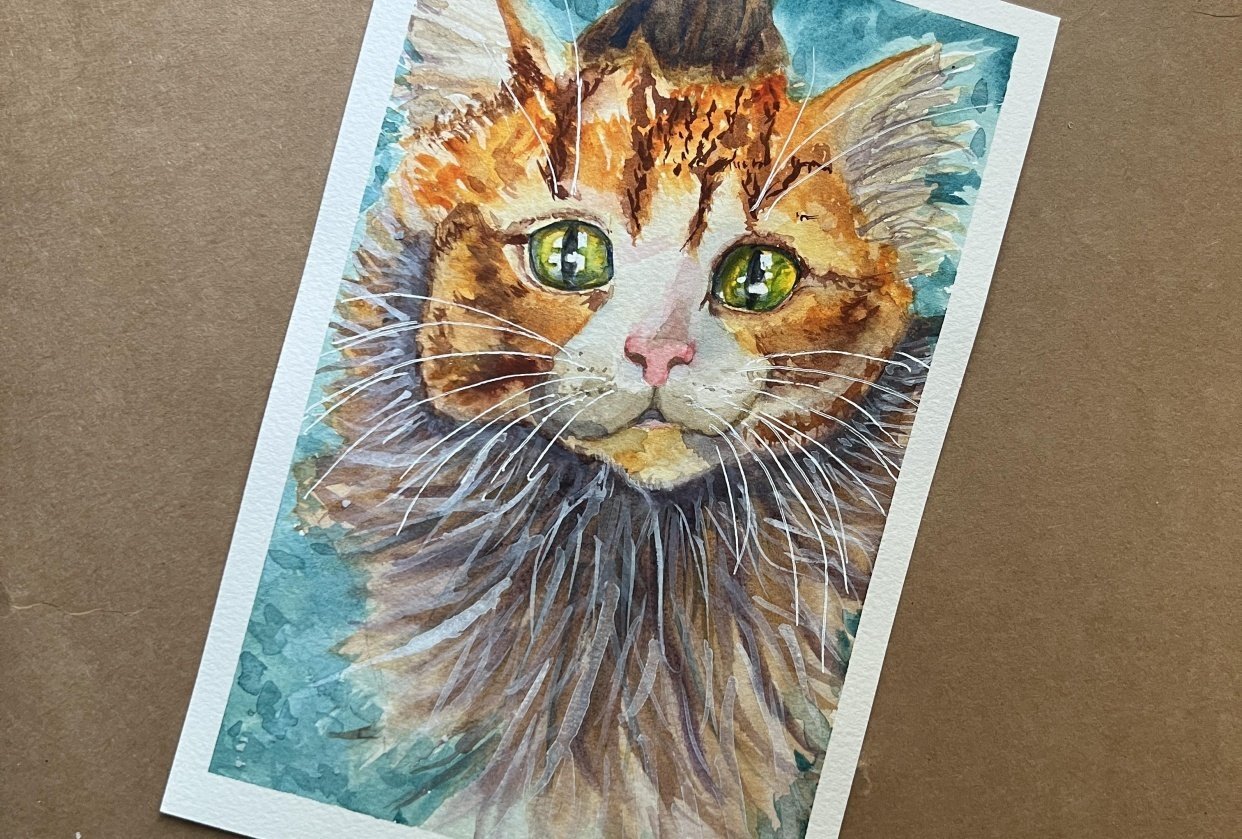 Watercolor cat | Skillshare Student Project