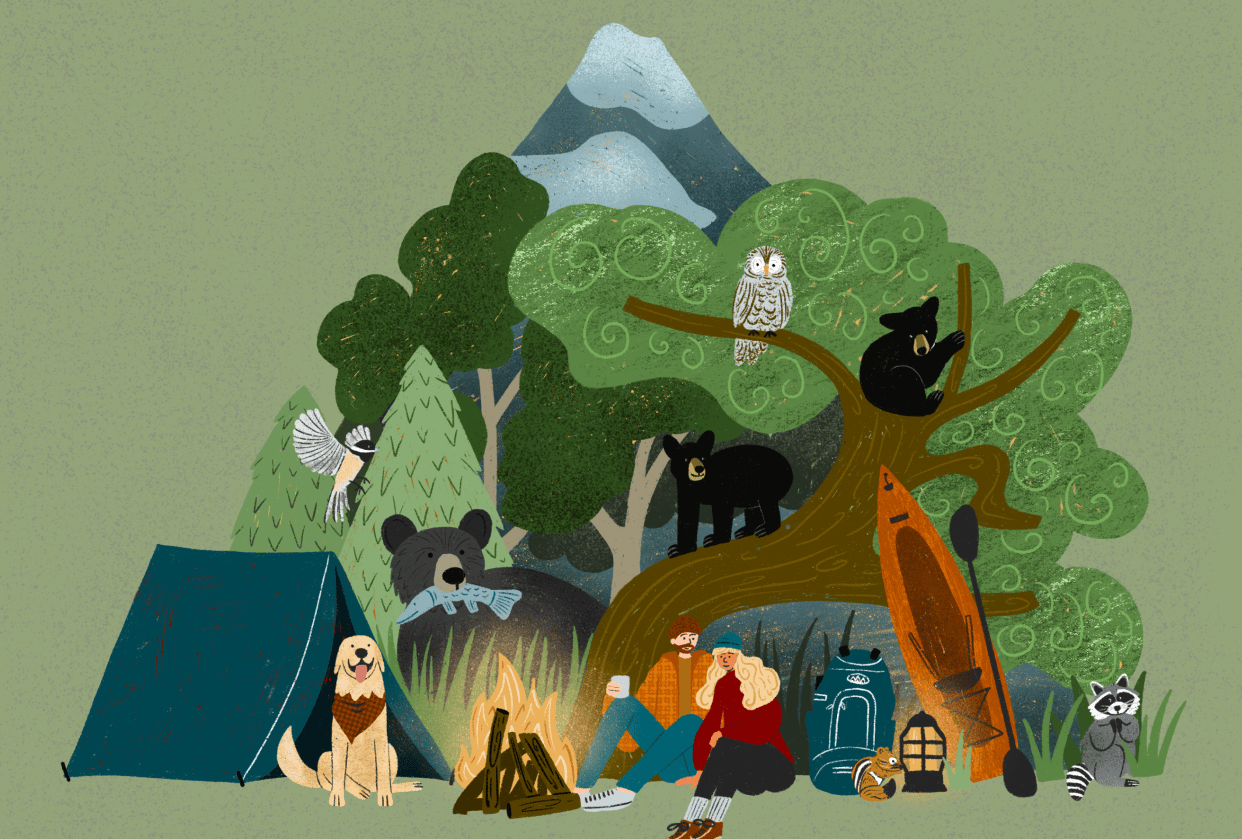 Camping Scene | Skillshare Student Project