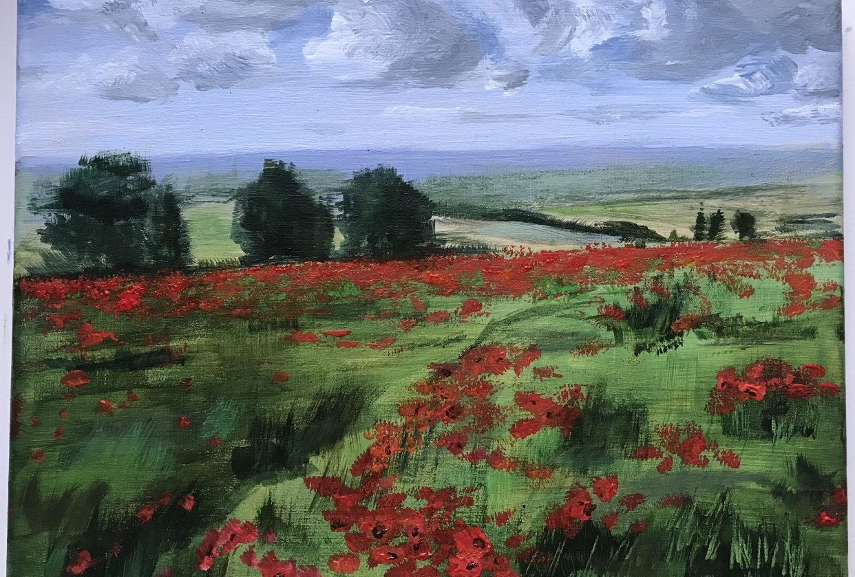 Poppy field | Skillshare Student Project