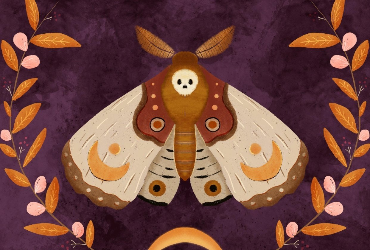 Magical Moth | Skillshare Student Project